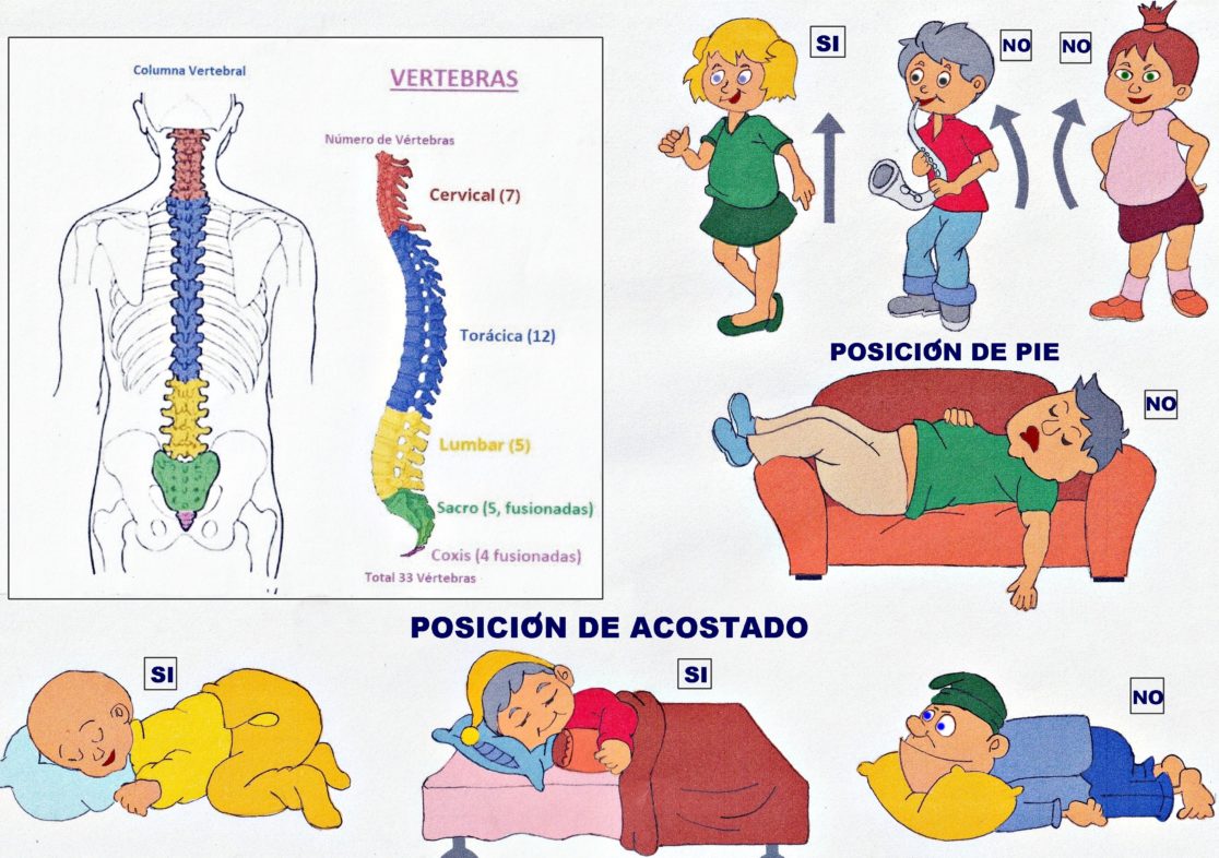 Higiene postural para evitar el dolor de espalda - Clínica Fuensalud