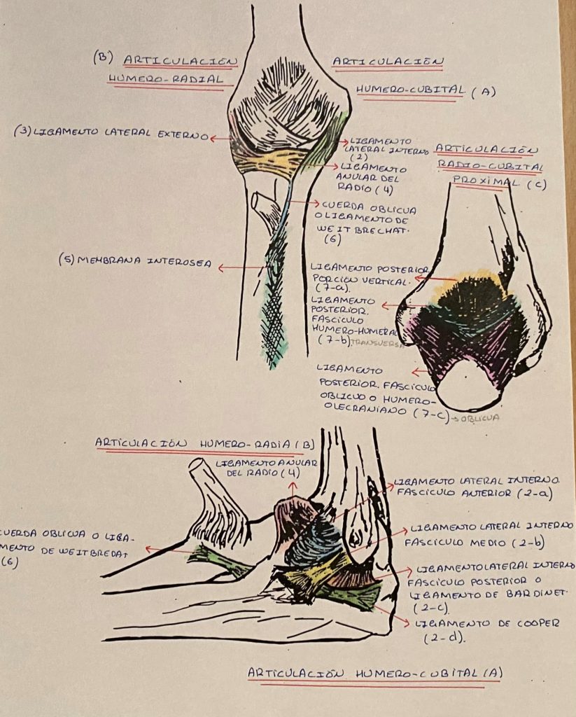 Fractura de codo tratada con fisioterapia - Clínica Fuensalud