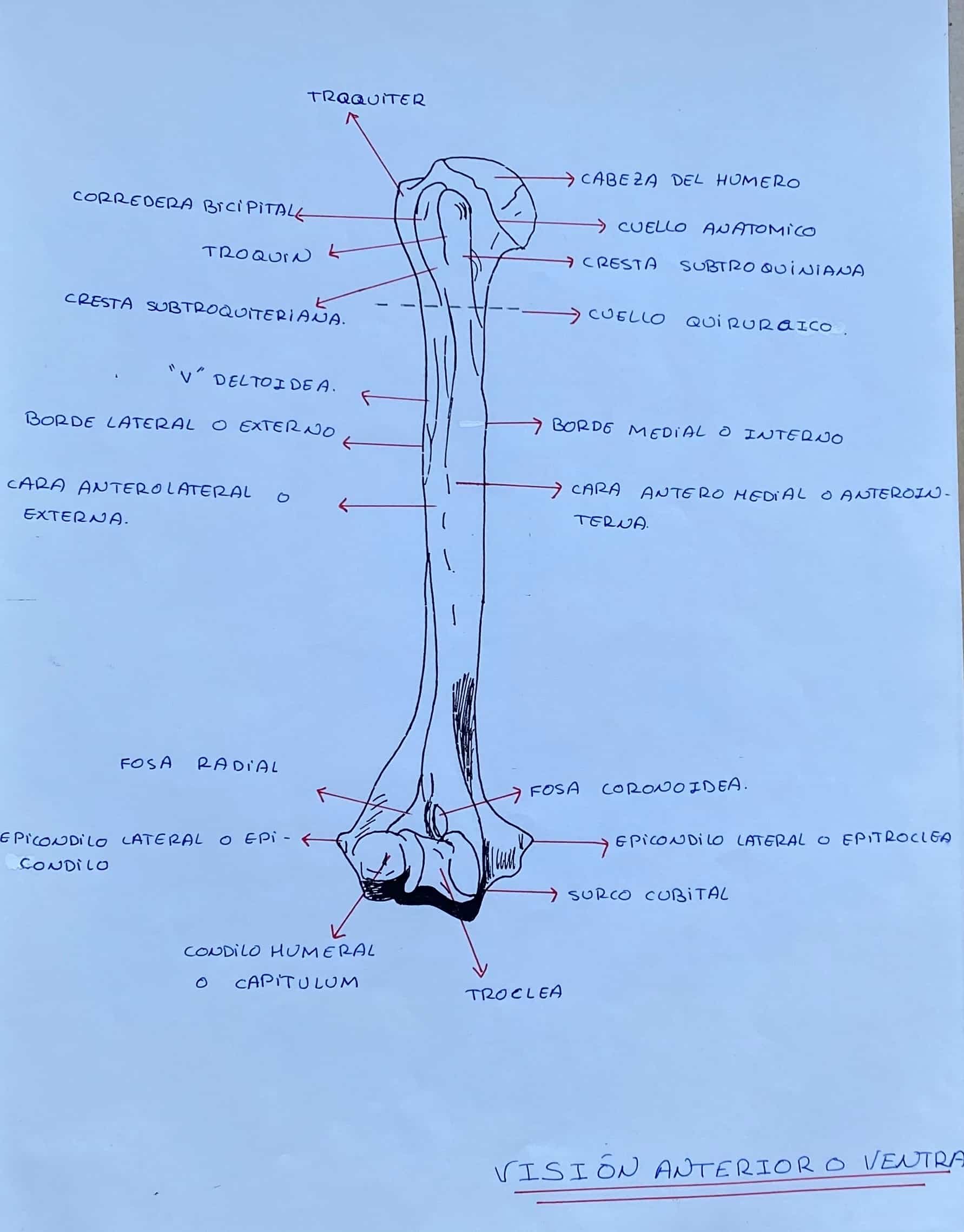 Fisioterapia para prótesis de hombro - Clínica Fuensalud